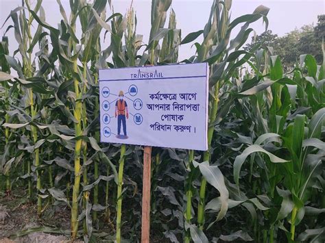 hasan mehedi on linkedin environmental social monitoring work