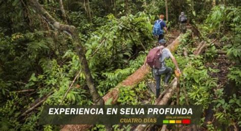 Amazon Experience Tours En La Selva Amazonas Amazon Experience Jungle