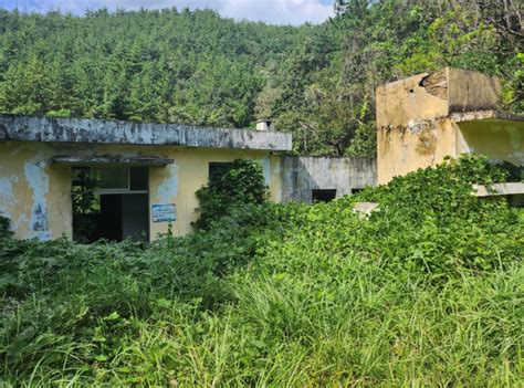 경남 폐교 75곳 미활용·주민 반대로 일부 흉물 방치교육 당국 해결책 고심