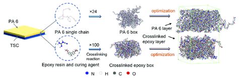 Conformations Of Atomistic Model Of The Interface Between Crosslinked