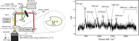 Evaluation Of Eating Quality Of White Rice Using Raman Spectroscopy With Multivariate Analysis