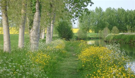 Deep Learning Models For Automatic Summarization By Pirmin Lemberger Tds Archive Medium