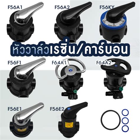 หัวควบคุม ก้านโยก Manual Valve คาร์บอน เรซิ่น ถังกรองไฟเบอร์ F56a F56e