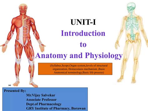 Introduction To Anatomy And Physiology Ppt