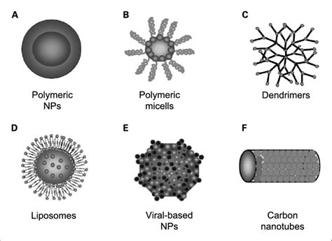 Types Of Nanocarriers For Drug Delivery A Polymeric Nanoparticles Download Scientific