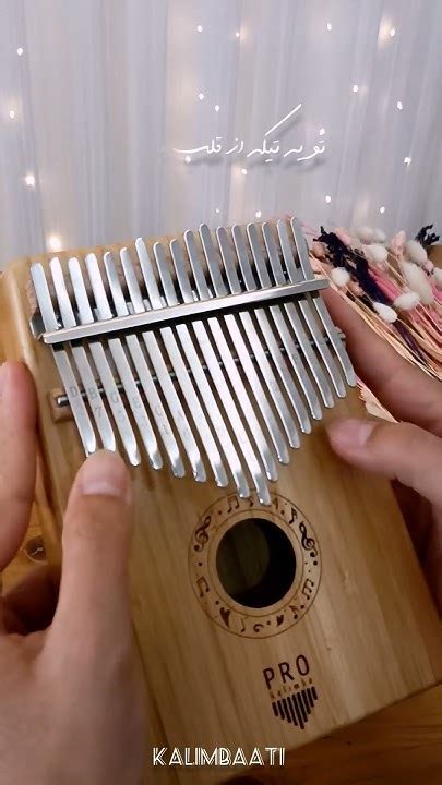 تو شدی مثل خون تو رگام از هایده کالیمبا هوش مصنوعیهایده نمیشهازت