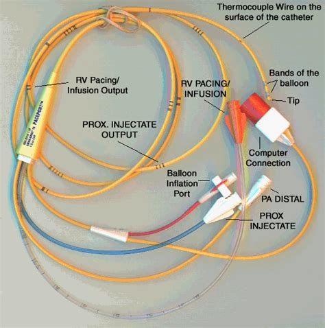 The Critical Care Nurse Why Use A Swan Ganz Catheter