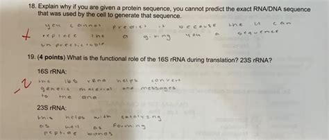 Solved 18 Explain Why If You Are Given A Protein Sequence Chegg Com