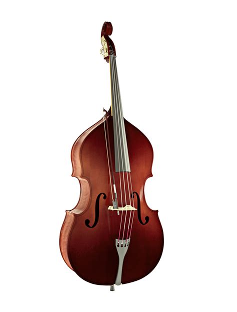 String Instruments Double Bass At Robin Horvath Blog