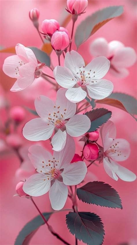 Khalid Rafiq On Linkedin Unity Progress Pakistan Krquotes