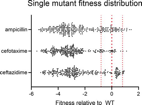 Distribution Of Single Mutant Fitness Values Relative To Ctx M 14wt The Download Scientific