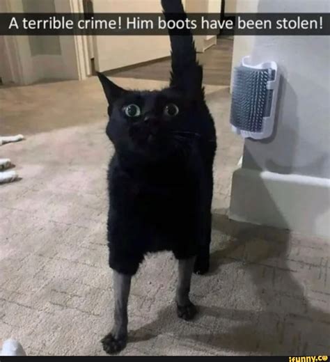 Il A Terrible Crime Him Boots Have Been Stolen Ifunny