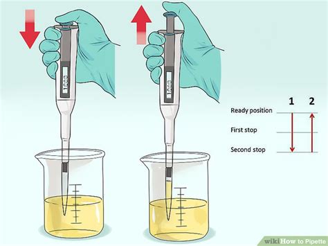 How To Use A Bulb Pipette Step By Step At Krystal Russell Blog