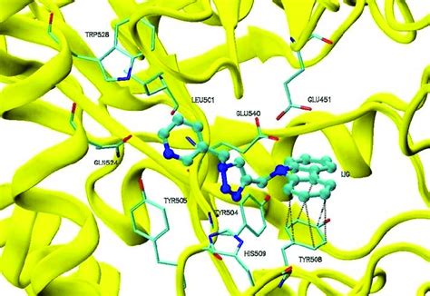 Binding Mode Of The Compound 25 With Active Site Residues Download Scientific Diagram