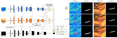 Real Time Nerve Tissue Detection And Visualization Chung Hyuk Park