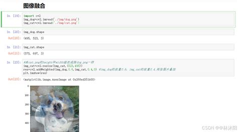 Opencv零基础入门（3）：roi区域颜色通道提取边界填充图像融合图像阈值opencv Roi Csdn博客