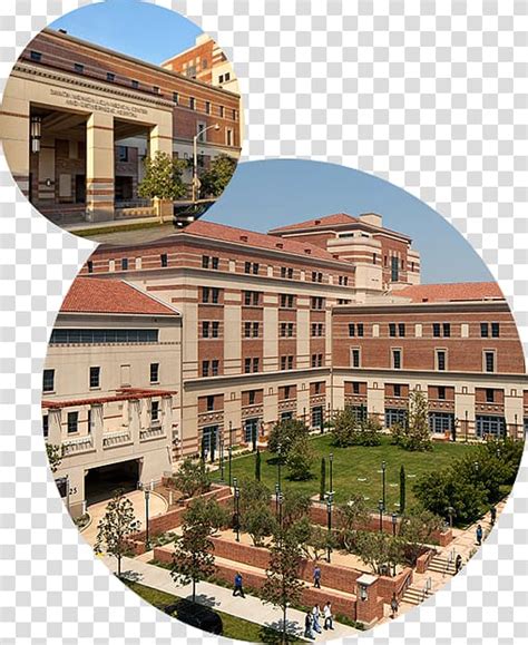 Ucla Medical Center Santa Monica University Of California Los Angeles
