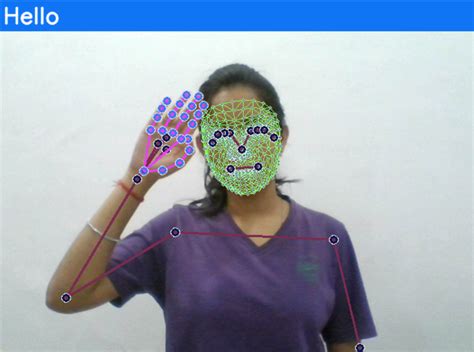 Continuous Sign Language Recognition System Using Deep Learning With Mediapipe Holistic Bohrium