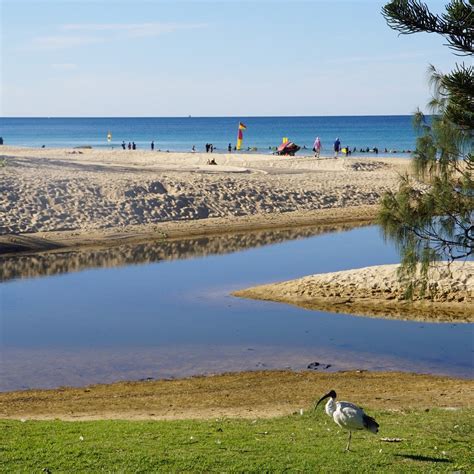 Dicky Beach 2026 All You Should Know Before You Go W Reviews And Photos