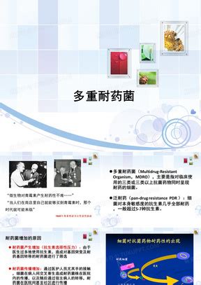 多重耐药菌PPT模板 多重耐药菌PPT模板下载 熊猫办公
