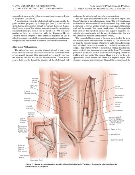 Acs0527 Open Repair Of Abdominal Wall Hernia 2007 Pdf