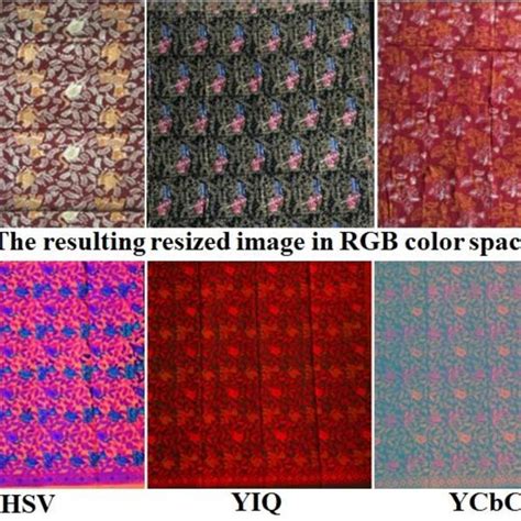 The Pre Processing Image Results A Resized Image In Rgb Color Space Download Scientific