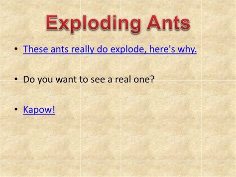 PPT Exploding Ants PowerPoint Presentation Free Download ID 5542212