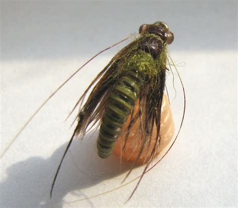Caddis Pupa Fly Patterns At Doris Whitfield Blog