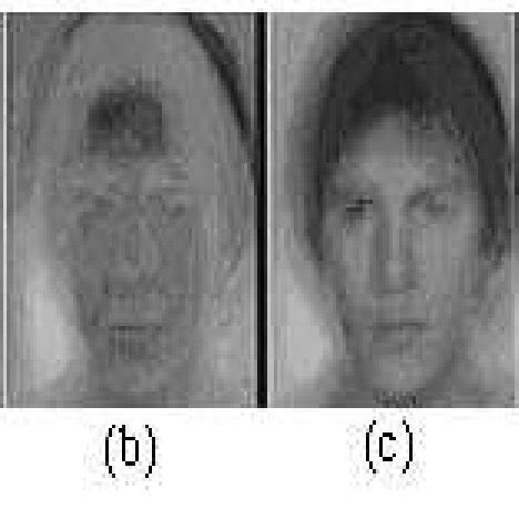 Cumulative Proportion Of Explained Variance For Sex Prediction As Download Scientific Diagram