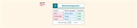How To Use XGrid Component In ReactJS Scaler Topics