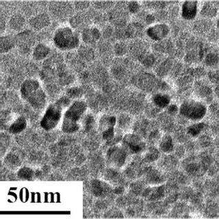 Morphology Of TiO2 Nanoparticles Download Scientific Diagram