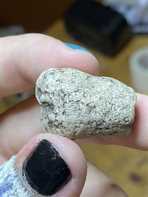 Beekitized Stromatoporoid Sponge Fossil Id The Fossil Forum