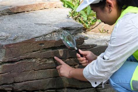 Asian Female Geologist Researcher Analyzing Rocks With A Magnifying Glass In A Natural Park