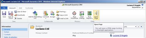 dynamics crm a developer point of view how to add a custom button in