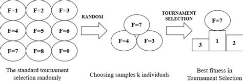 Simulation Of Tournament Selection Download Scientific Diagram