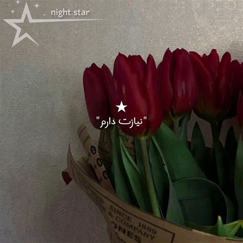 گیلاس ، گیلاس بانو 2024