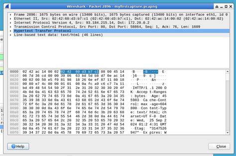 network analysis with wireshark labex