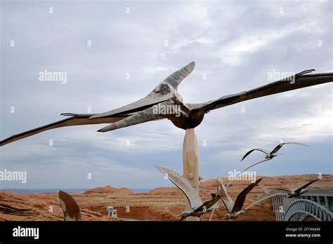 Pteranodon Vs Pterodactyl