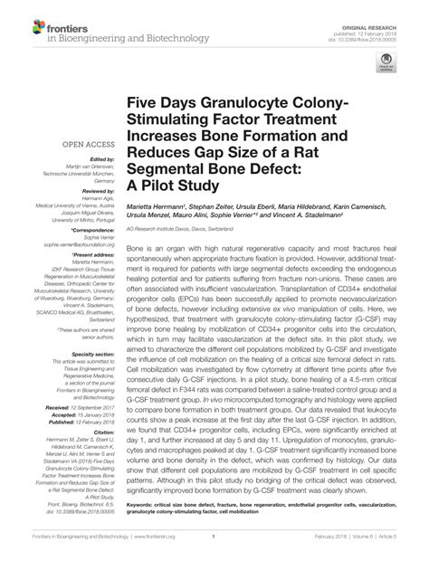 Pdf Five Days Granulocyte Colony Stimulating Factor Treatment Increases Bone Formation And