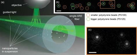 Microstructured Fiber Measures The Size Of Nanoparticles