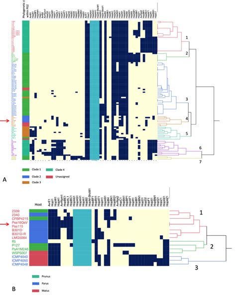 Absencepresence Matrix And Hierarchical Clustering Of The Screened