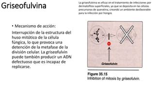 Antimicoticos Pptx