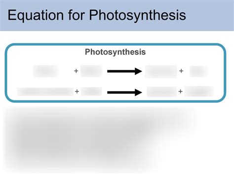 Photosynthesis Equation Diagram Quizlet