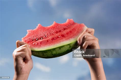 푸른 하늘에 잘 익은 수박 조각을 들고 있는 높이 자란 아이들의 손 0명에 대한 스톡 사진 및 기타 이미지 0명 물 빨강 Istock
