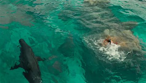Blake Lively Kicks Shark Butt In The Shallows Trailer 2