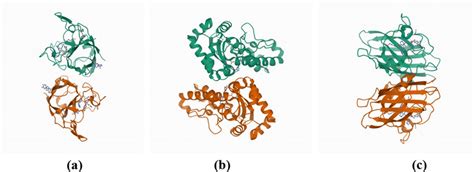 X Ray Structures Of Superoxide Dismutase Enzyme A Cuzn Sod Id 2aps