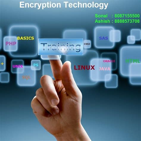 Training For Java Seo Php Dot Net With Live Projects Pune