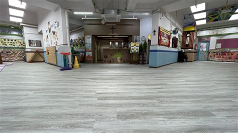 教育局特別宣布 智樂幼稚園