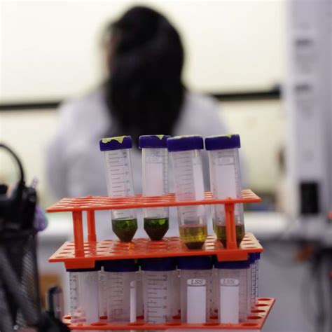 Analytics Labs Llc On Linkedin Ready To Take The Next Step In Your Testing Journey 🧪 Y 🥼 Analytics Labs Llc On Linkedin Ready To Take The Next Step In Your Testing Journey 🧪 Y 🥼