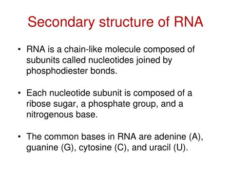 PPT Chapter The Versatility Of RNA PowerPoint Presentation Free Download ID